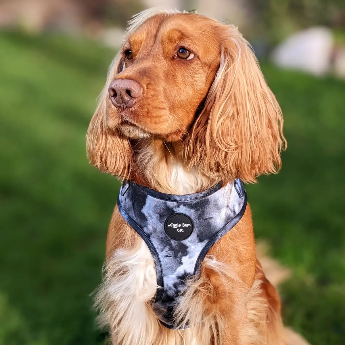 Stormy Sky Bundle – Wiggle Bum Co.